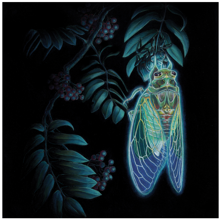 Jordan Kressley at Black Moth Gallery | AIGA